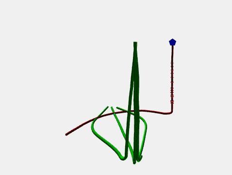 How do I access the directional survey?